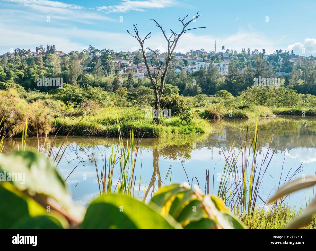 Kigali rwanda wetland hi-res stock photography and images - Alamy
