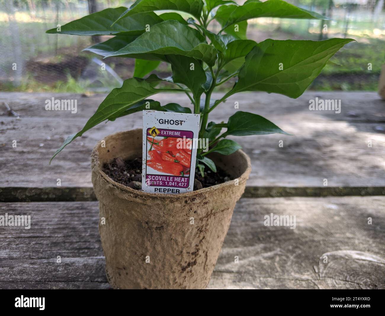 Green ghost hi-res stock photography and images - Alamy