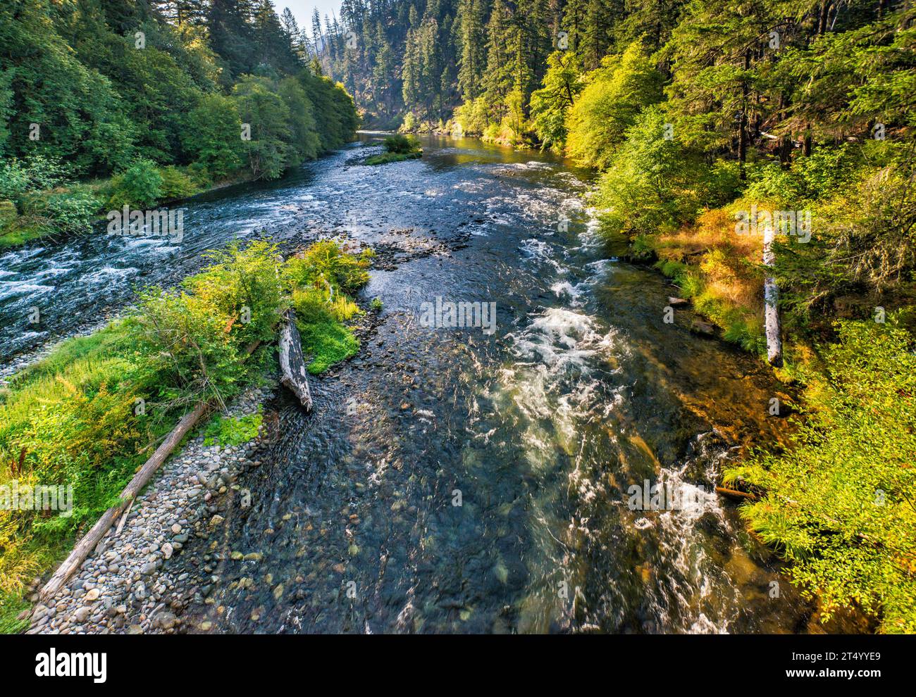 North Umpqua River, view from bridge on FR 4714, near Apple Creek ...