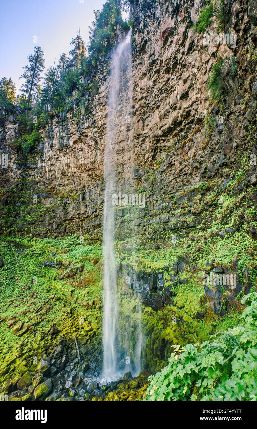 Watson Falls, Clearwater River area, Umpqua National Forest, Cascade ...