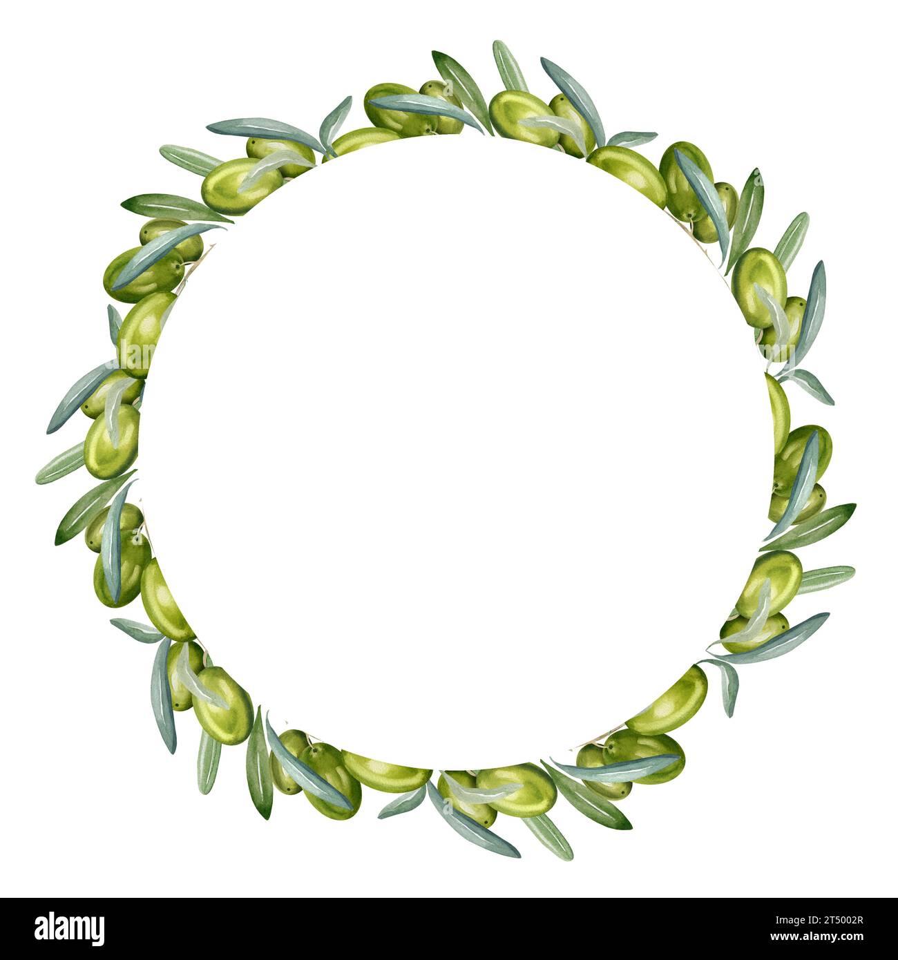 watercolor wreath with branch of green olives with leaves and fruits ...