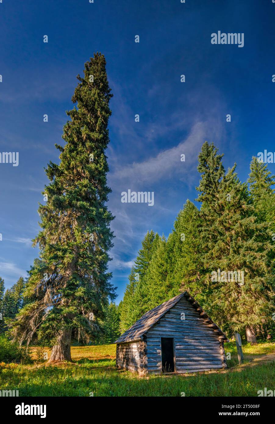 Landis Cabin replica, Box Canyon, Willamette National Forest, Cascade ...