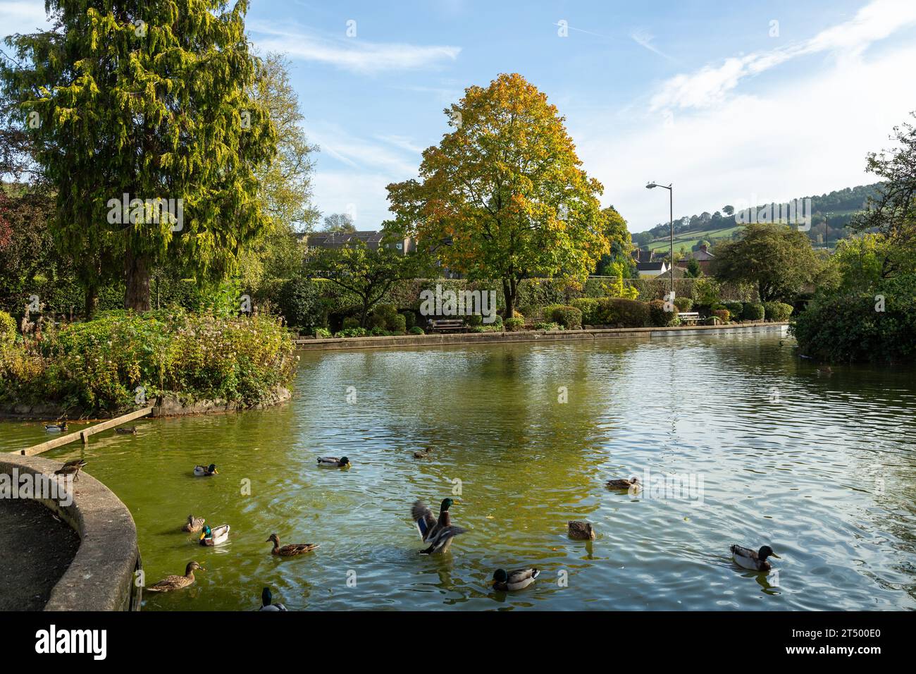 The boating pond in Hall Leys Park, Matlock, Derbyshire, England Stock ...