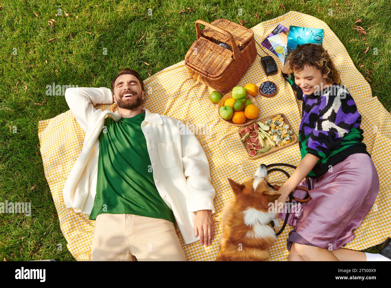 happy couple having picnic, resting and cuddling cute corgi dog on ...