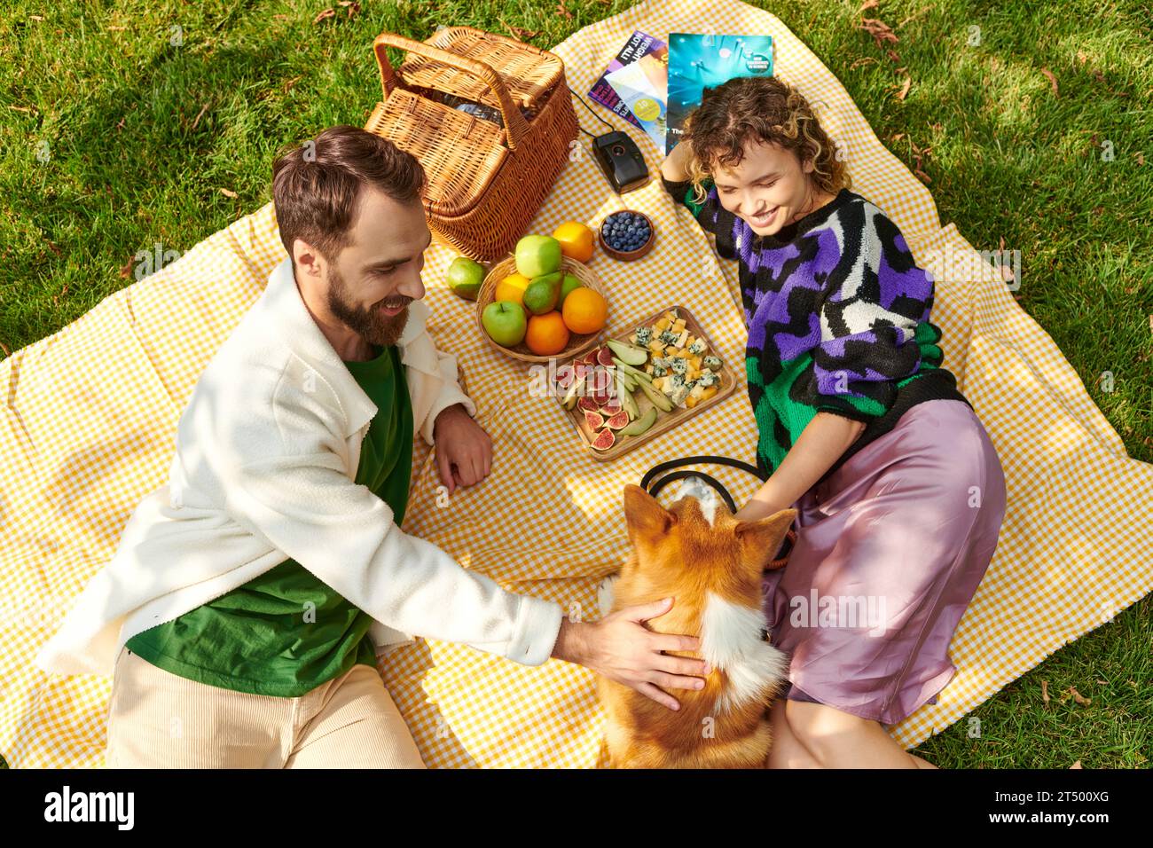 happy couple enjoying picnic, resting and cuddling cute corgi dog on ...