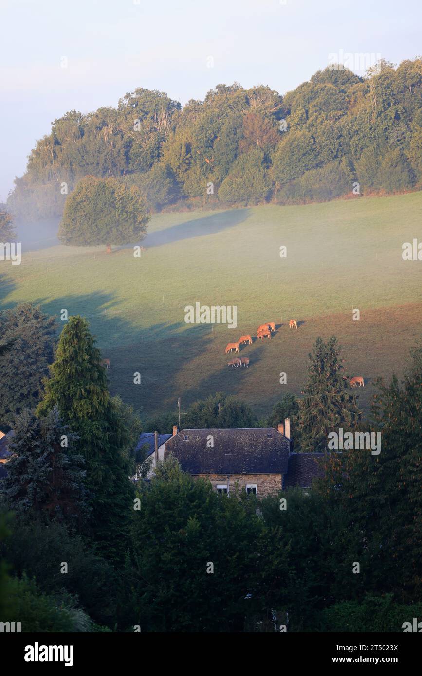 Sunrise and fog in the Limousin countryside. Rurality, landscape ...