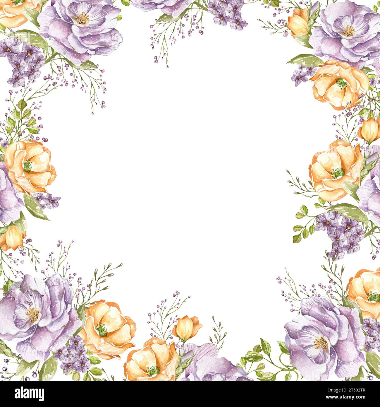 Pion frame hi-res stock photography and images - Alamy