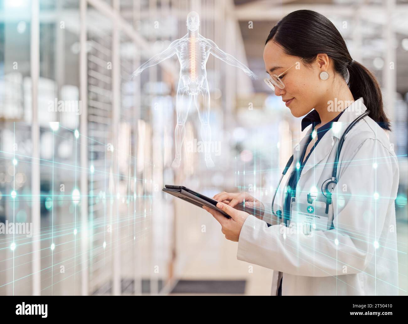 Tablet, digital hologram and doctor with anatomy, human body and ...