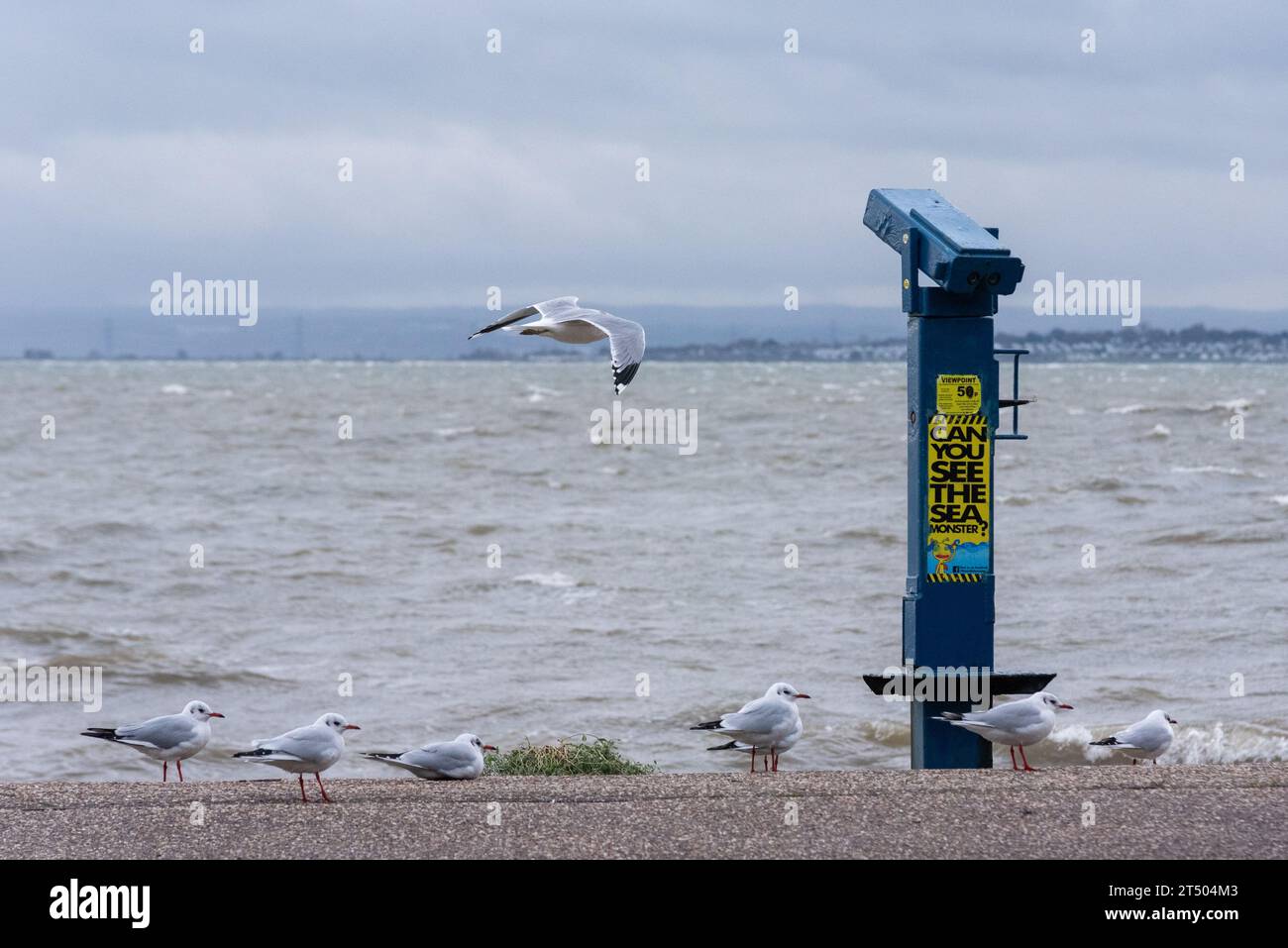 As rain hit the south coast of the uk england hi-res stock photography ...