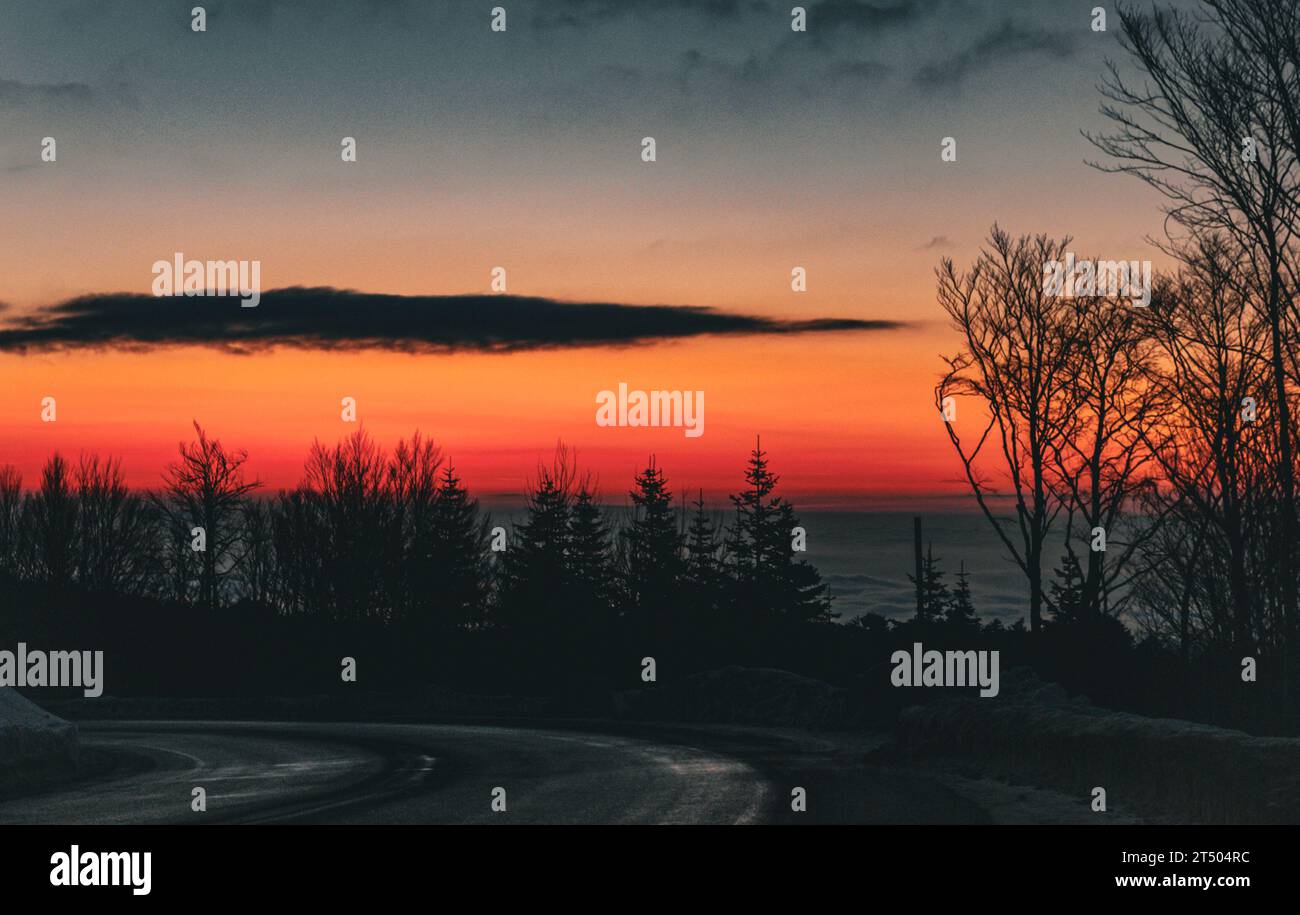 The road less taken, a path of tranquility and wonder Stock Photo - Alamy