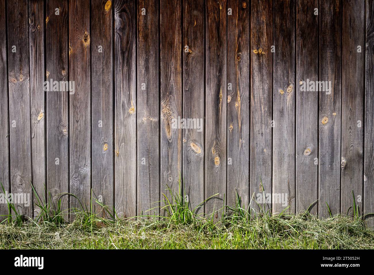 Fence of brown wooden boards. Wooden fence with grass under it Stock ...