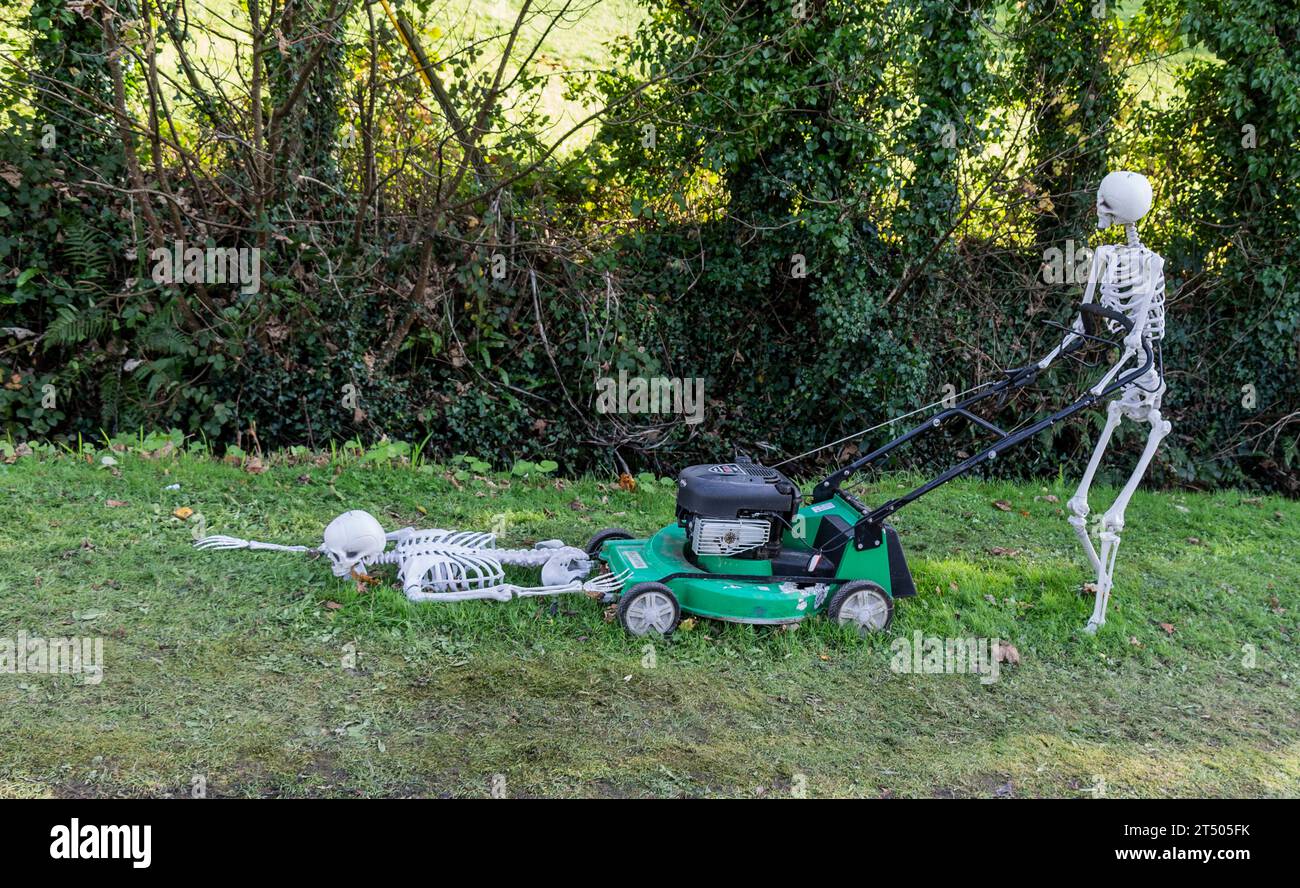 Ghoul Halloween Scarecrow Skeleton using lawn mower Stock Photo - Alamy