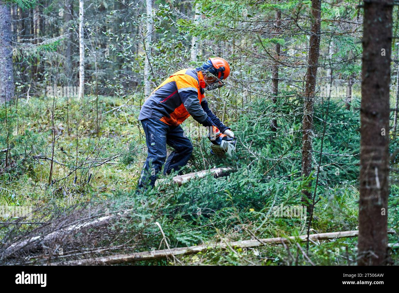A mature male wearing protective clothing and goggles operating a ...