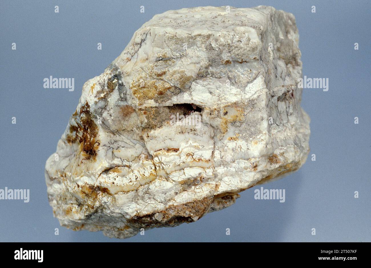 Phosphorite is a sedimentary rock rich in phosphorous minerals Stock ...