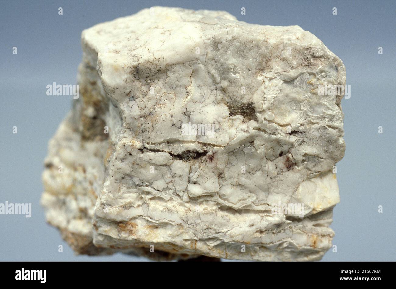 Phosphorite is a sedimentary rock rich in phosphorous minerals Stock ...