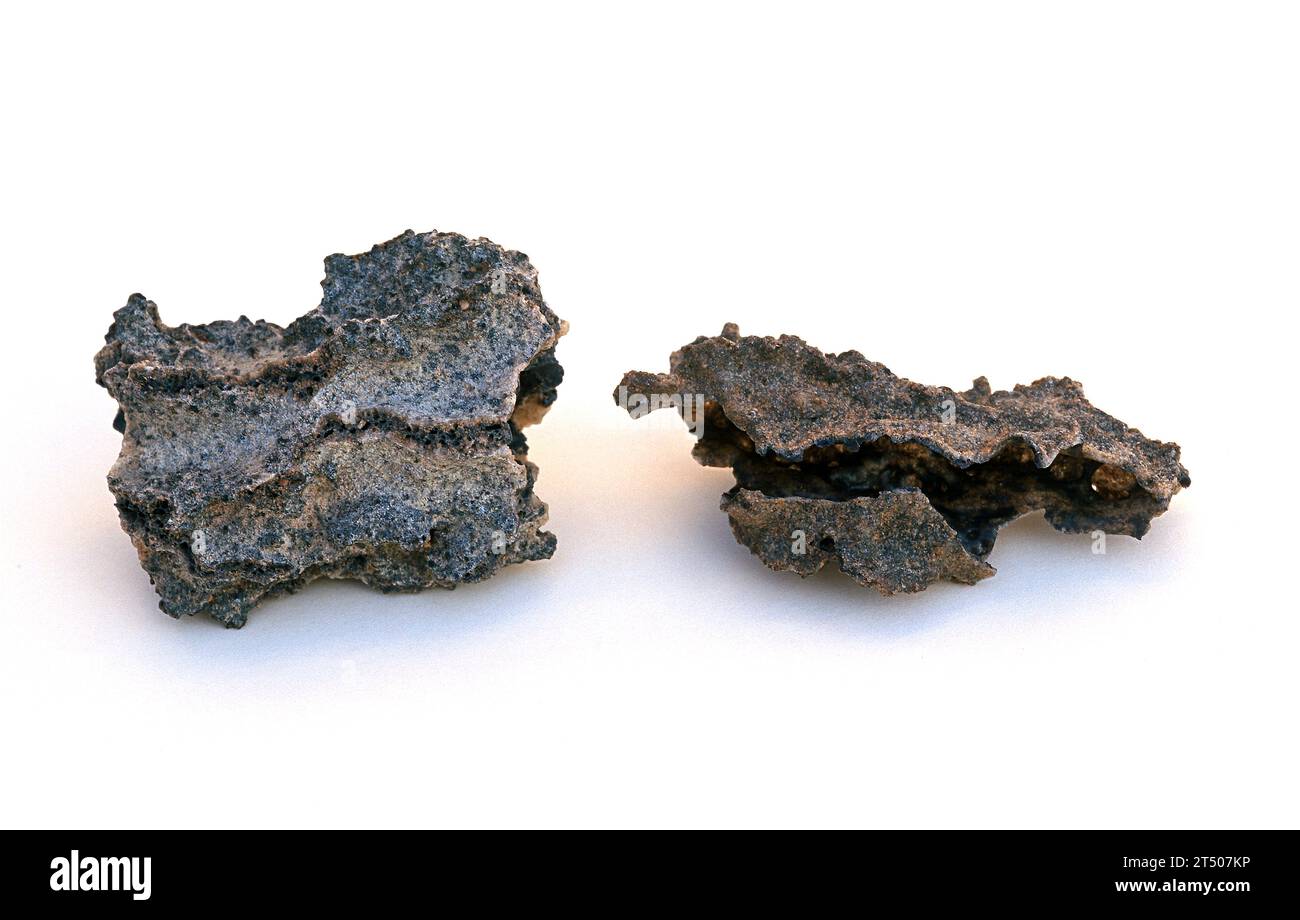 Fulgurites are natural vitrified tubes formeds by lightning strikes on ...