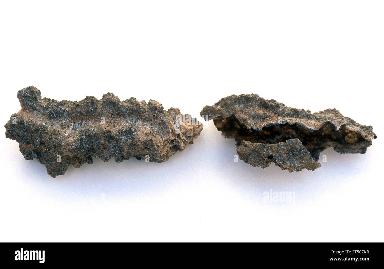 Fulgurites are natural vitrified tubes formeds by lightning strikes on ...