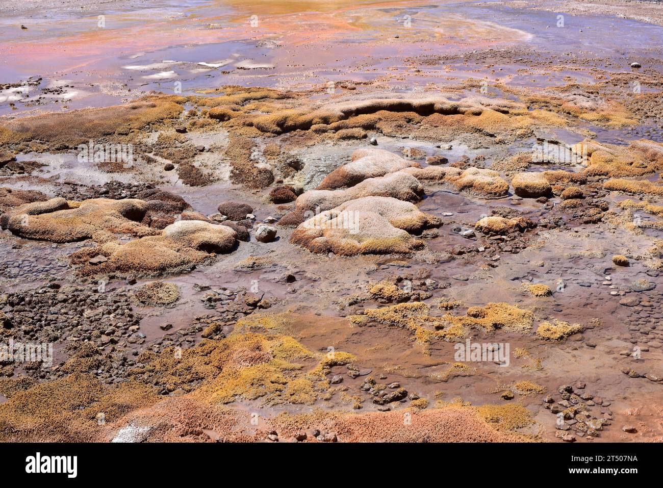 Geyserite is a kind of opaline silica present in geysers and hot ...