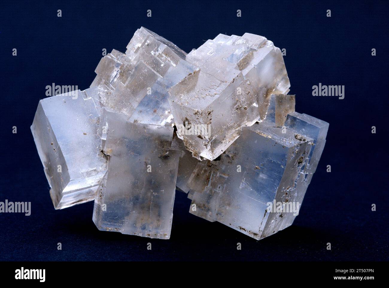 Halite or rock salt is a sodium chloride mineral. Crystallized sample ...