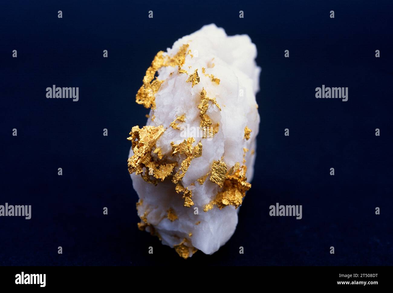 Gold is a mineral from native elements group. Sample on a quartz matrix ...