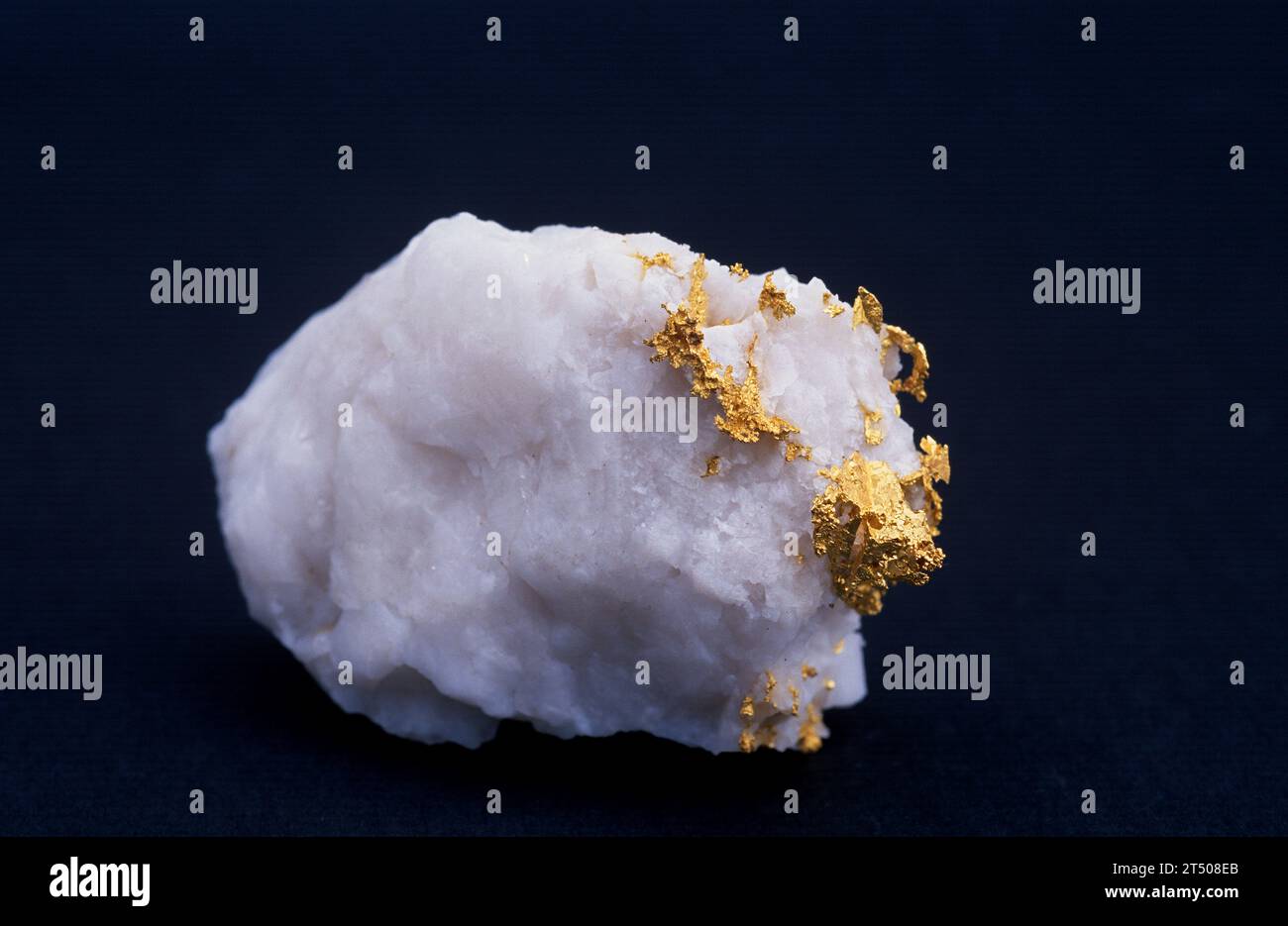 Gold is a mineral from native elements group. Sample on a quartz matrix ...