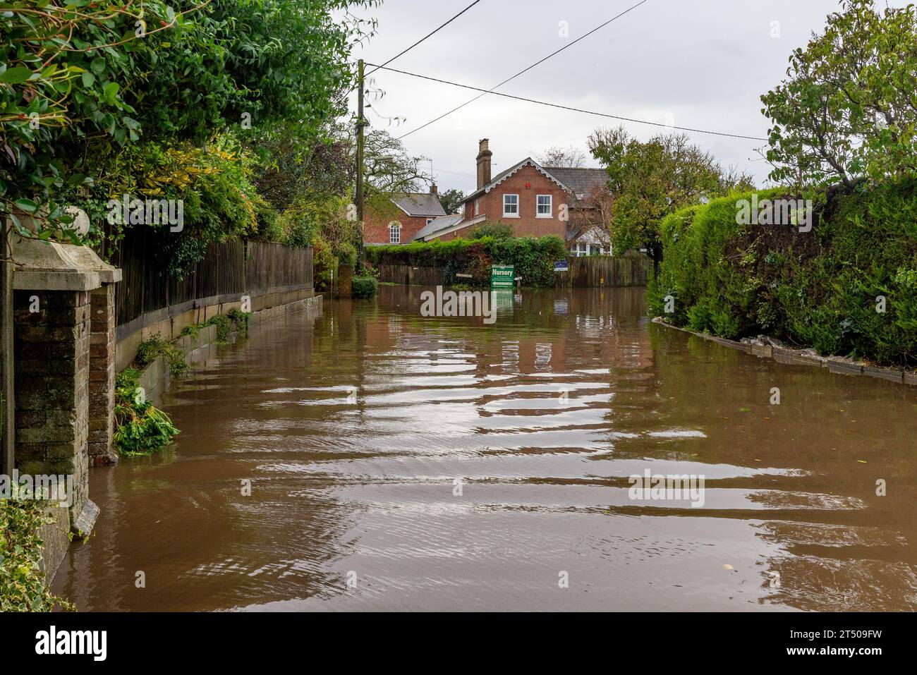 Fordingbridge, Hampshire, UK, 2nd November 2023: Weather. Storm Ciarán ...