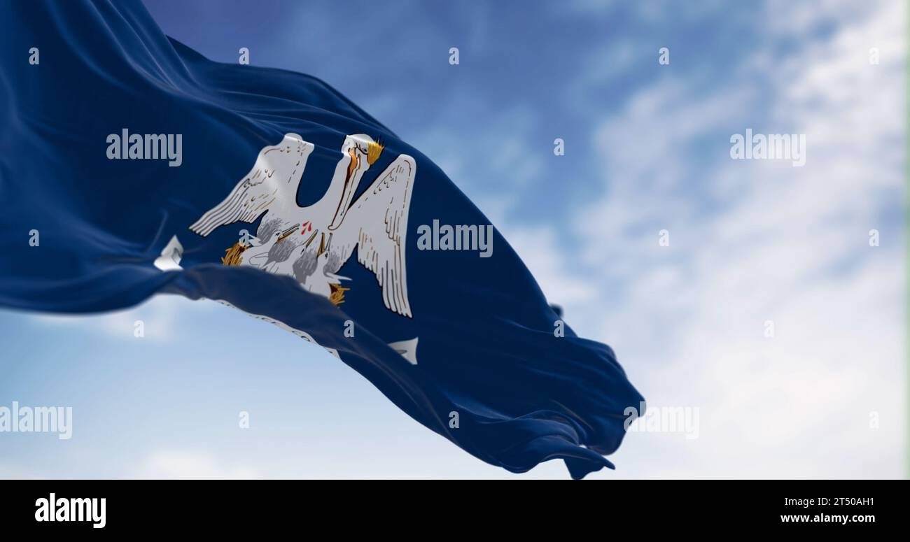 Louisiana state flag waving on a clear day. Mother pelican in a blue ...