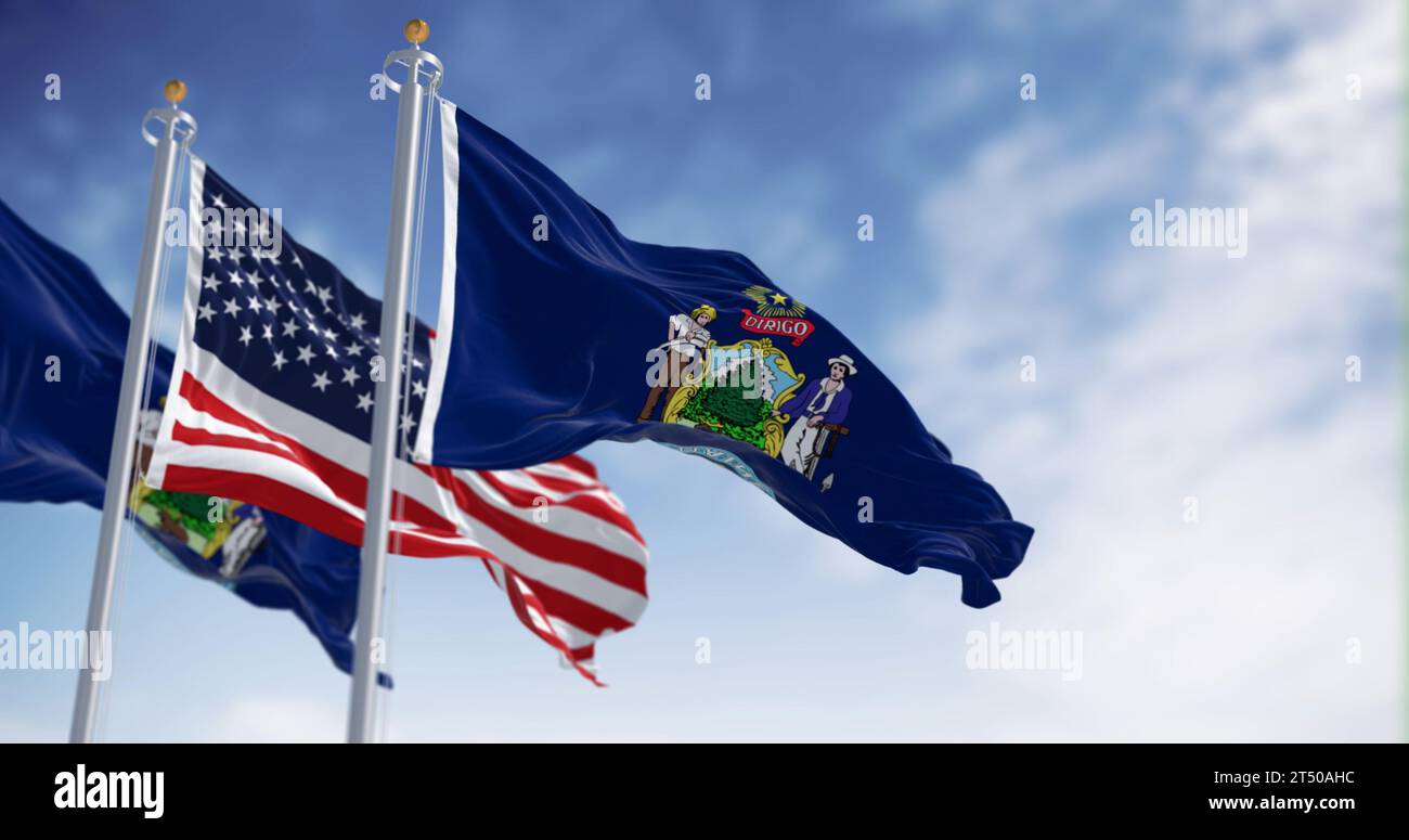 Maine state flags and the American flag waving in the wind on a clear ...