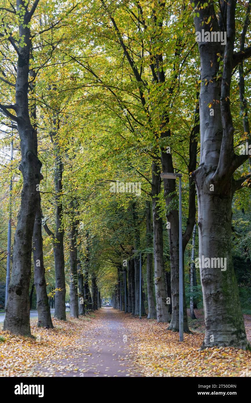 Heerbaan hi-res stock photography and images - Alamy