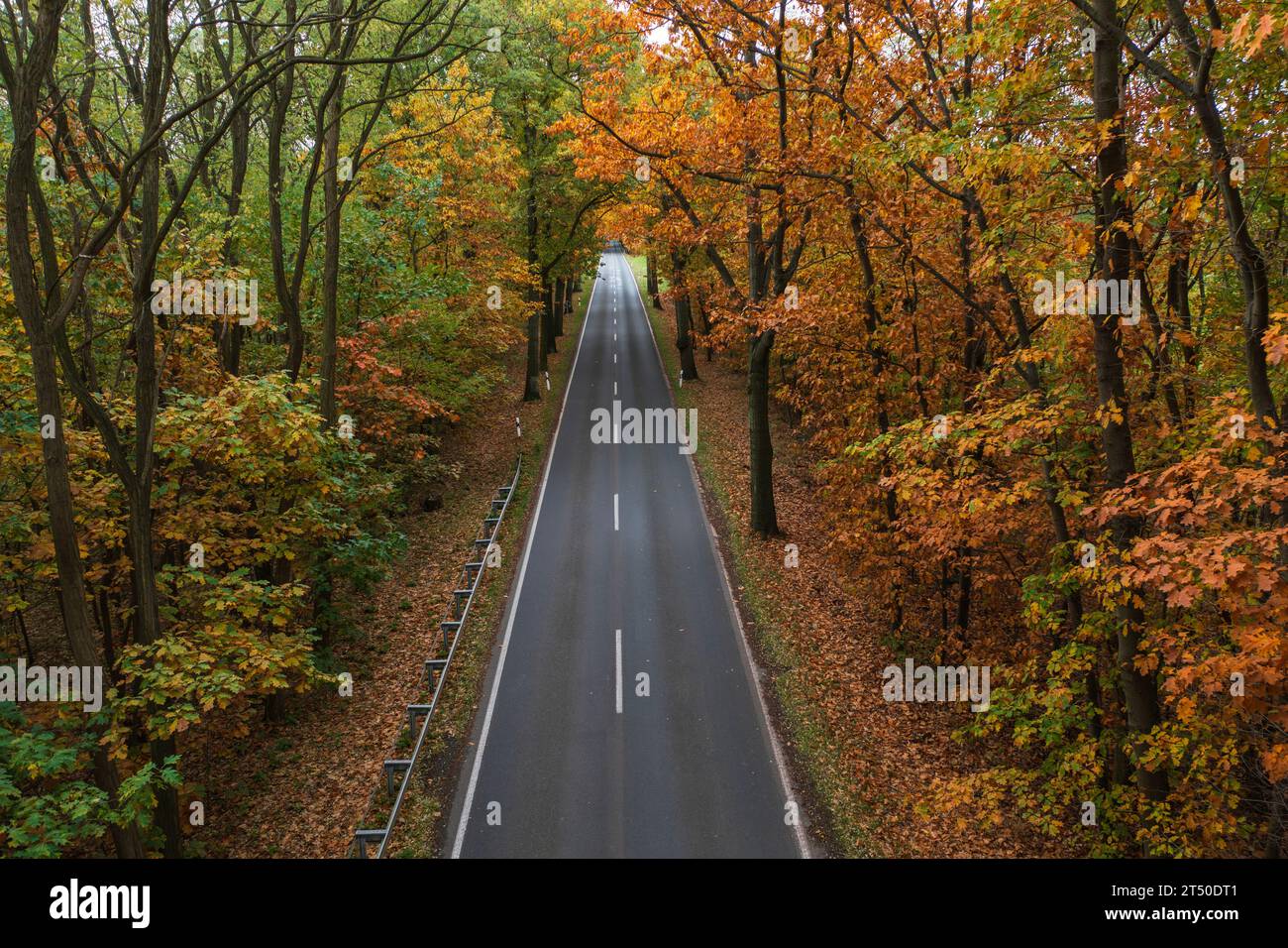 Road and street landscape landscape trees hi-res stock photography and ...