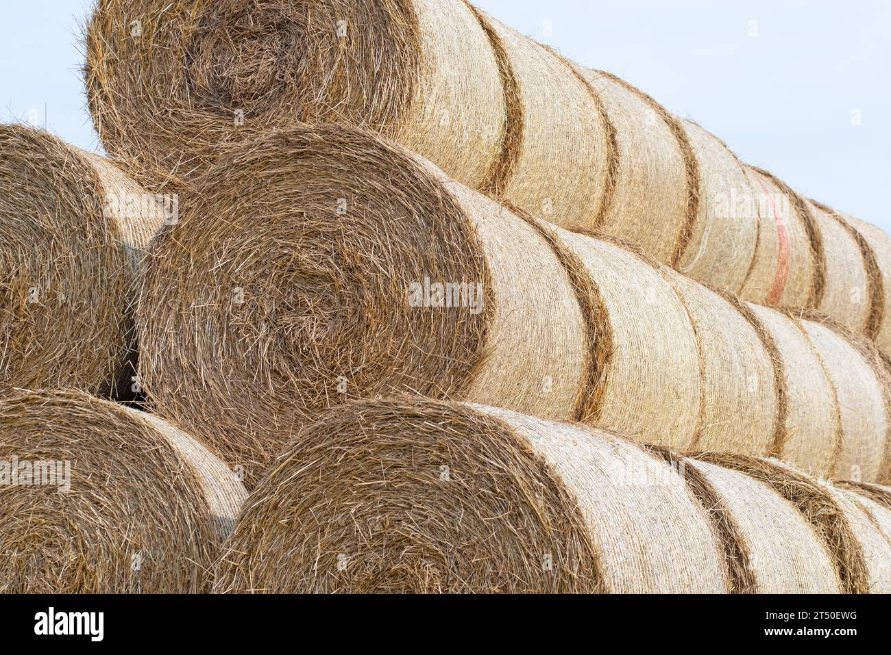 Stacked straw bales in a close-up view Stock Photo - Alamy