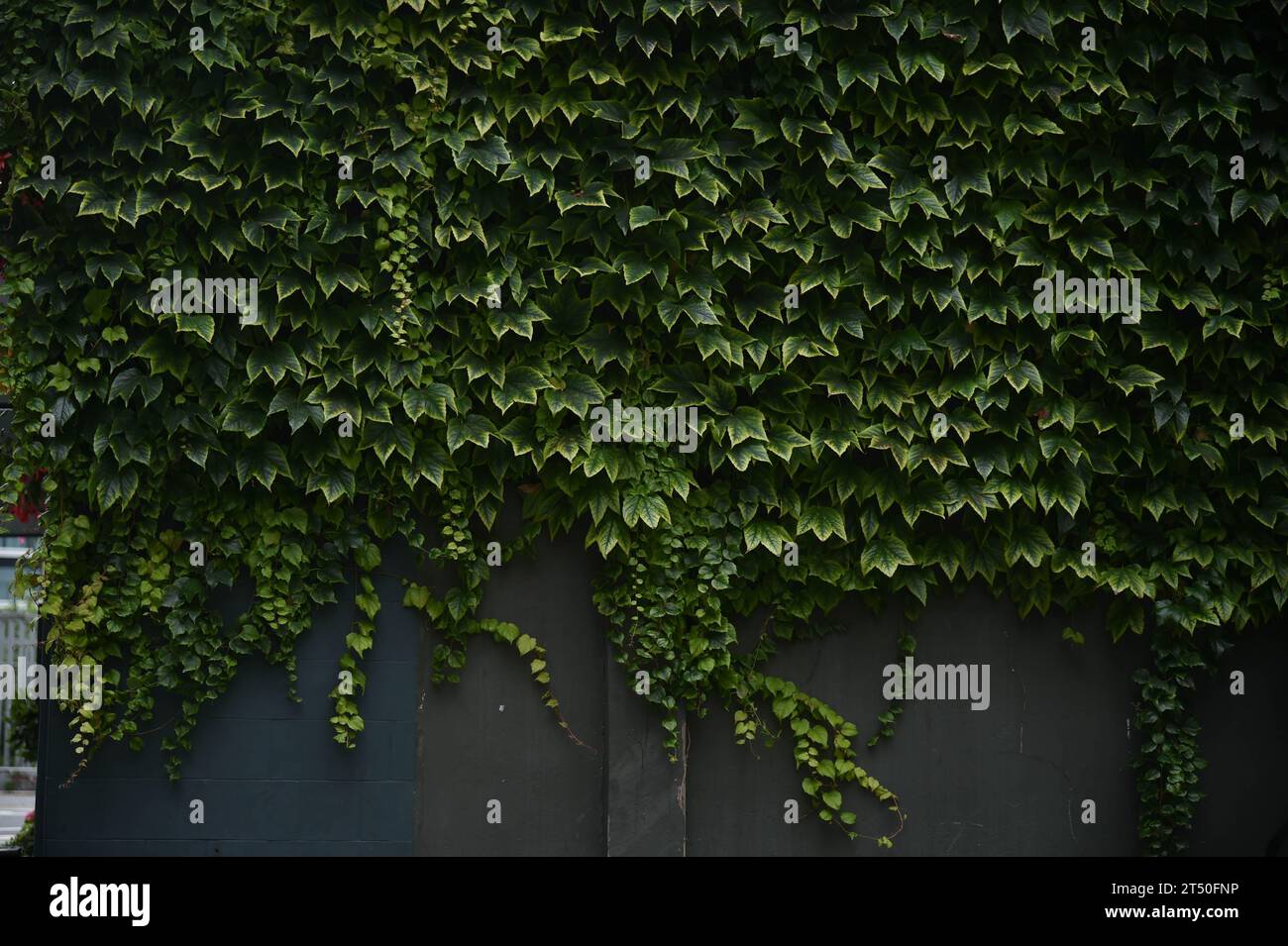 Lots Road, Chelsea London Stock Photo - Alamy