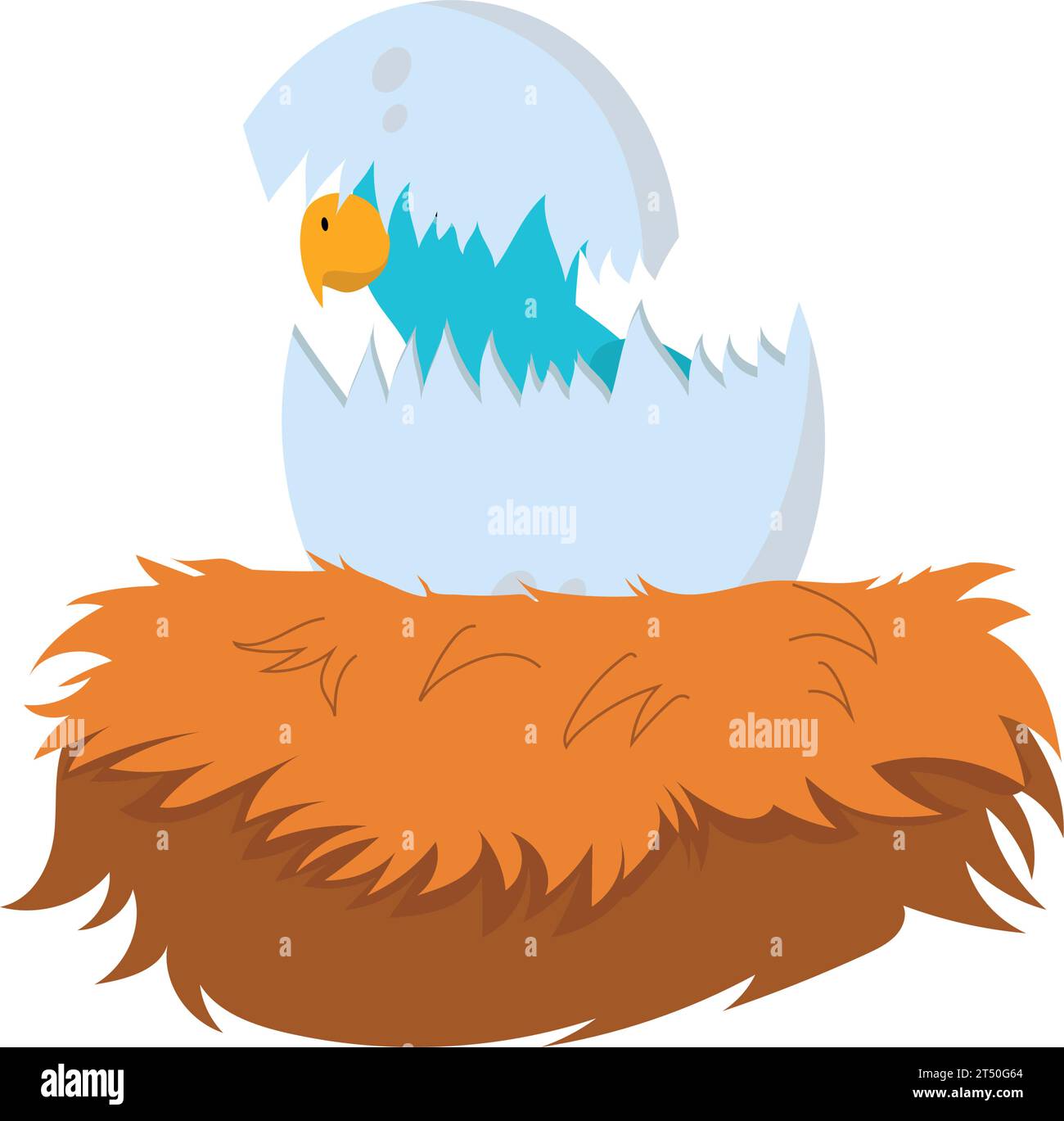 little bird in nest Stock Vector Image & Art - Alamy