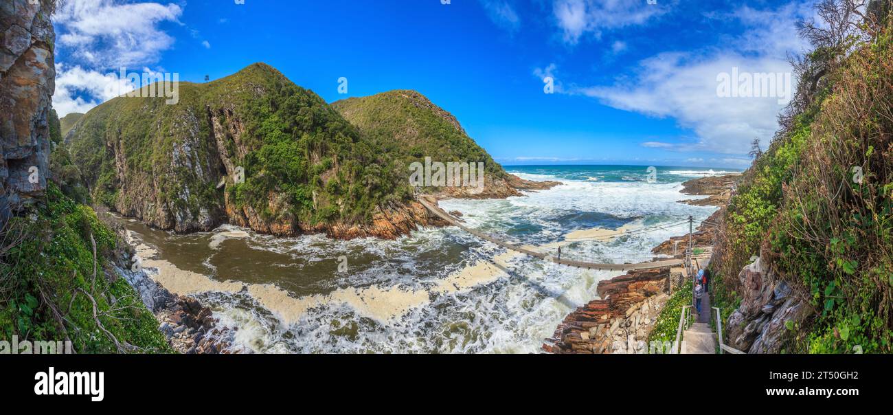 Panoramic photo of the Suspension Bridge in Tsitsikama National Park in ...
