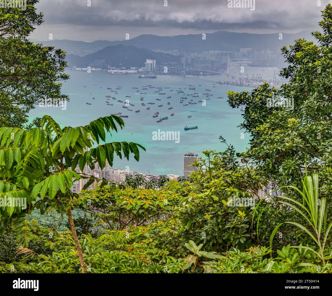 Panoramic picture over Hongkong bsay from Mount High West Viewing Point ...