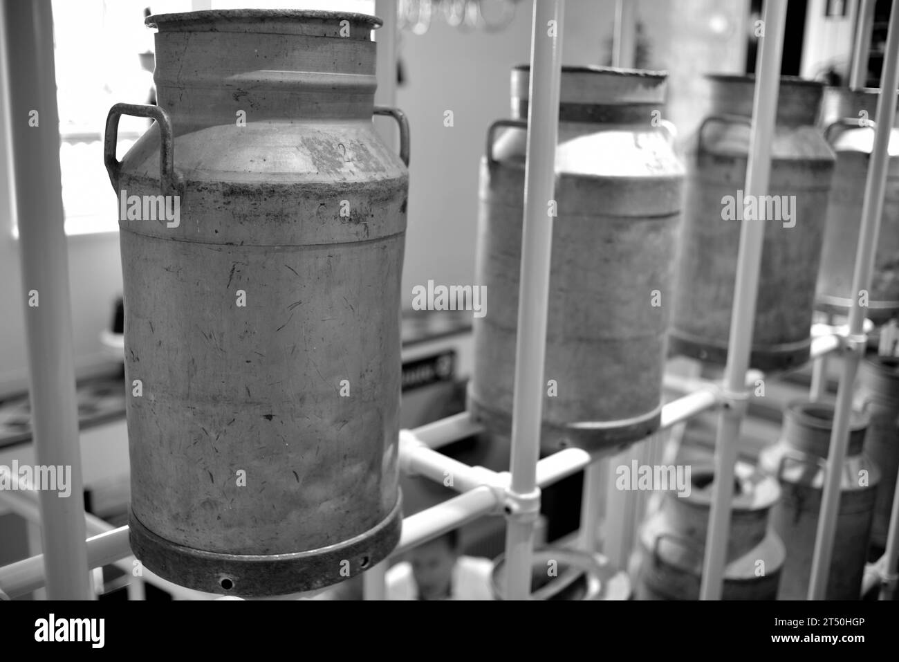 An old-fashioned, silver-gray colored metal milk can, in grayscale ...