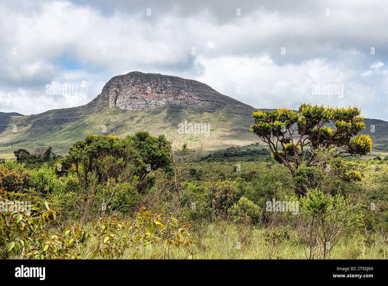 Beautiful hiking trail to Aguas Claras waterfall in Vale do Capao ...