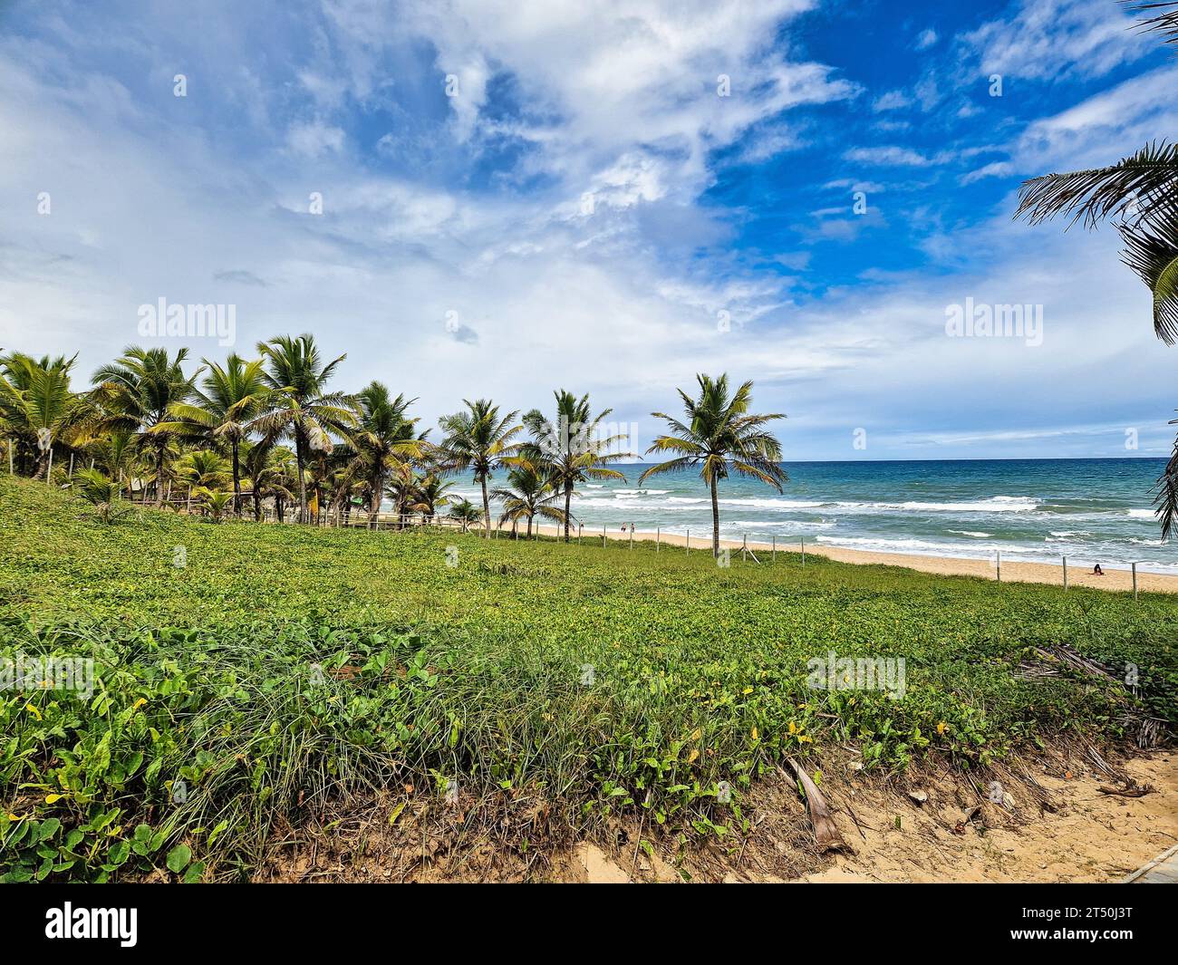 View of Imbassai beach, Bahia, Brazil. Beautiful beach in the northeast ...