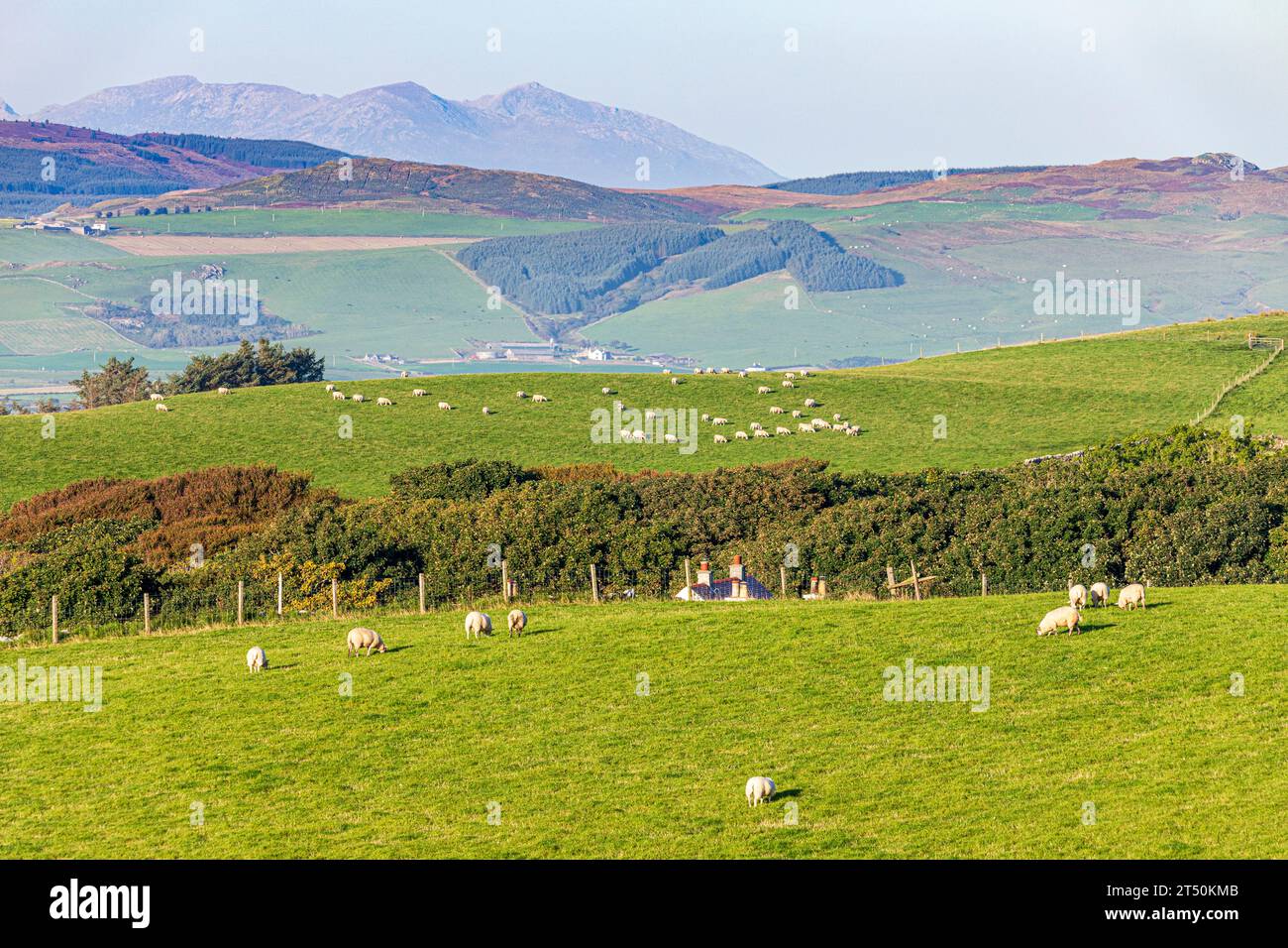 Field evening uk high view hi-res stock photography and images - Alamy