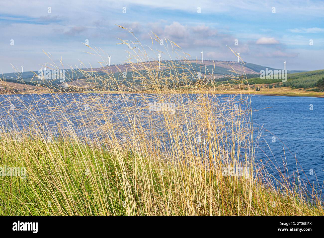 Wind blowing on rural landscape hi-res stock photography and images - Alamy