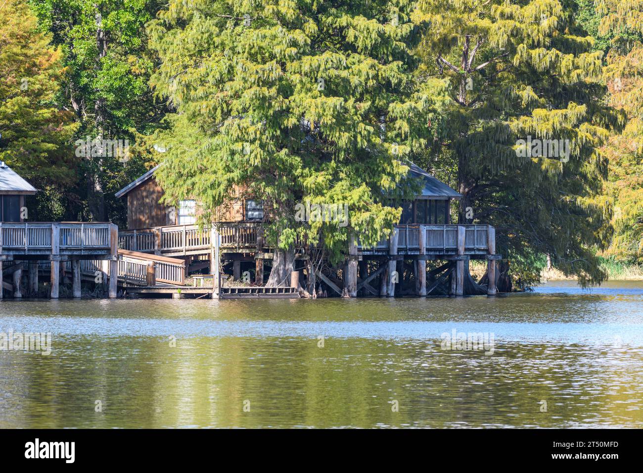 LAKE FAUSSE POINTE STATE PARK, LA, USA - OCTOBER 25, 2023: Rear view of ...
