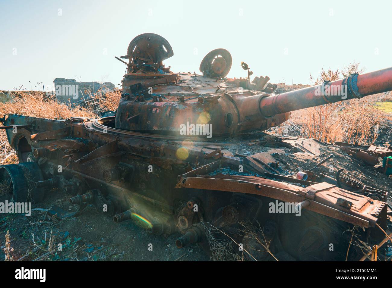 Destroyed burnt battle tank in the countryside. War in Ukraine. Russian ...
