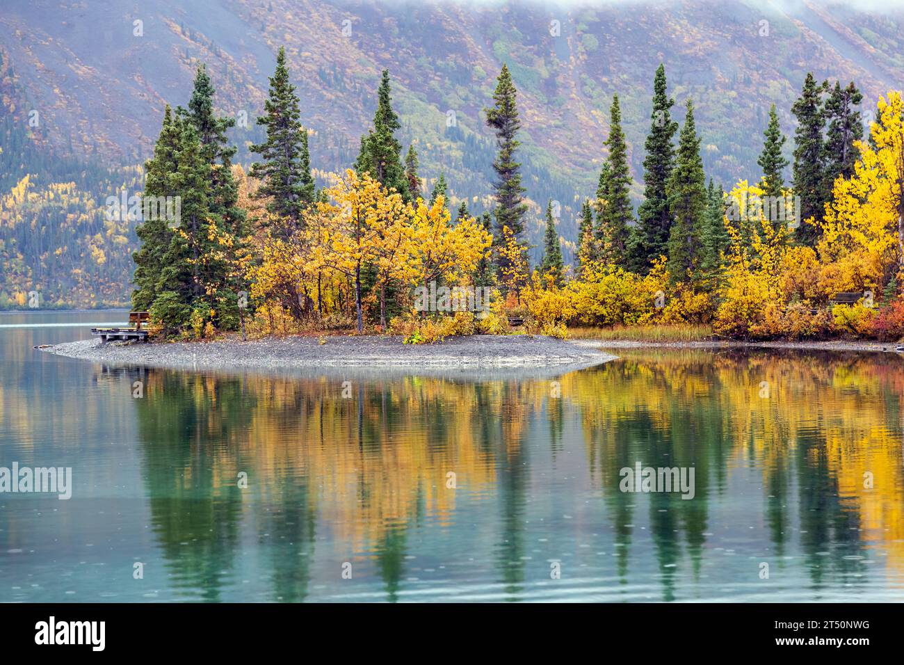 Beautiful colorful autumn landscape of trees reflected in the water ...
