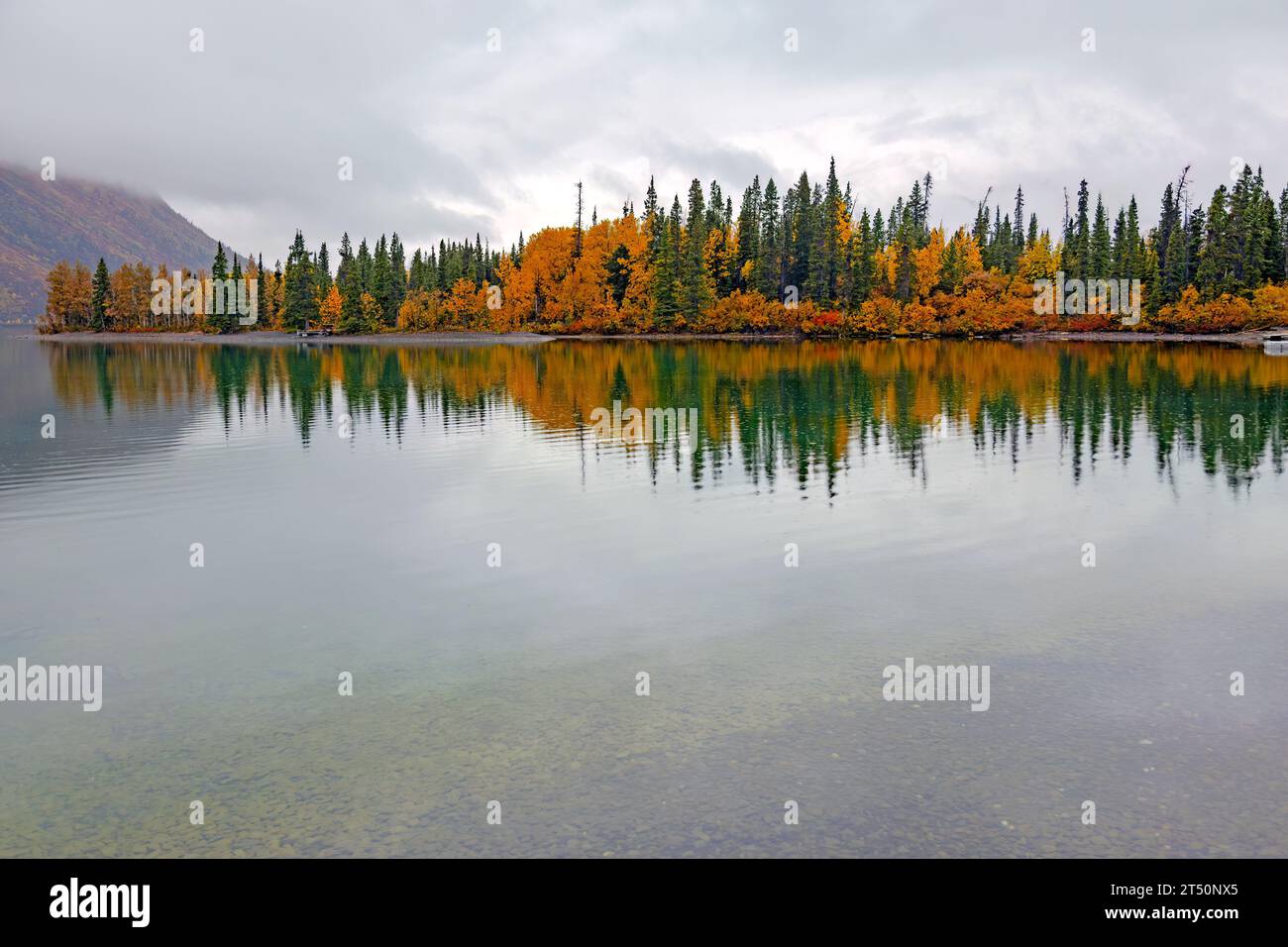 Beautiful colorful autumn landscape of trees reflected in the water along Kathleen Lake, Yukon ...