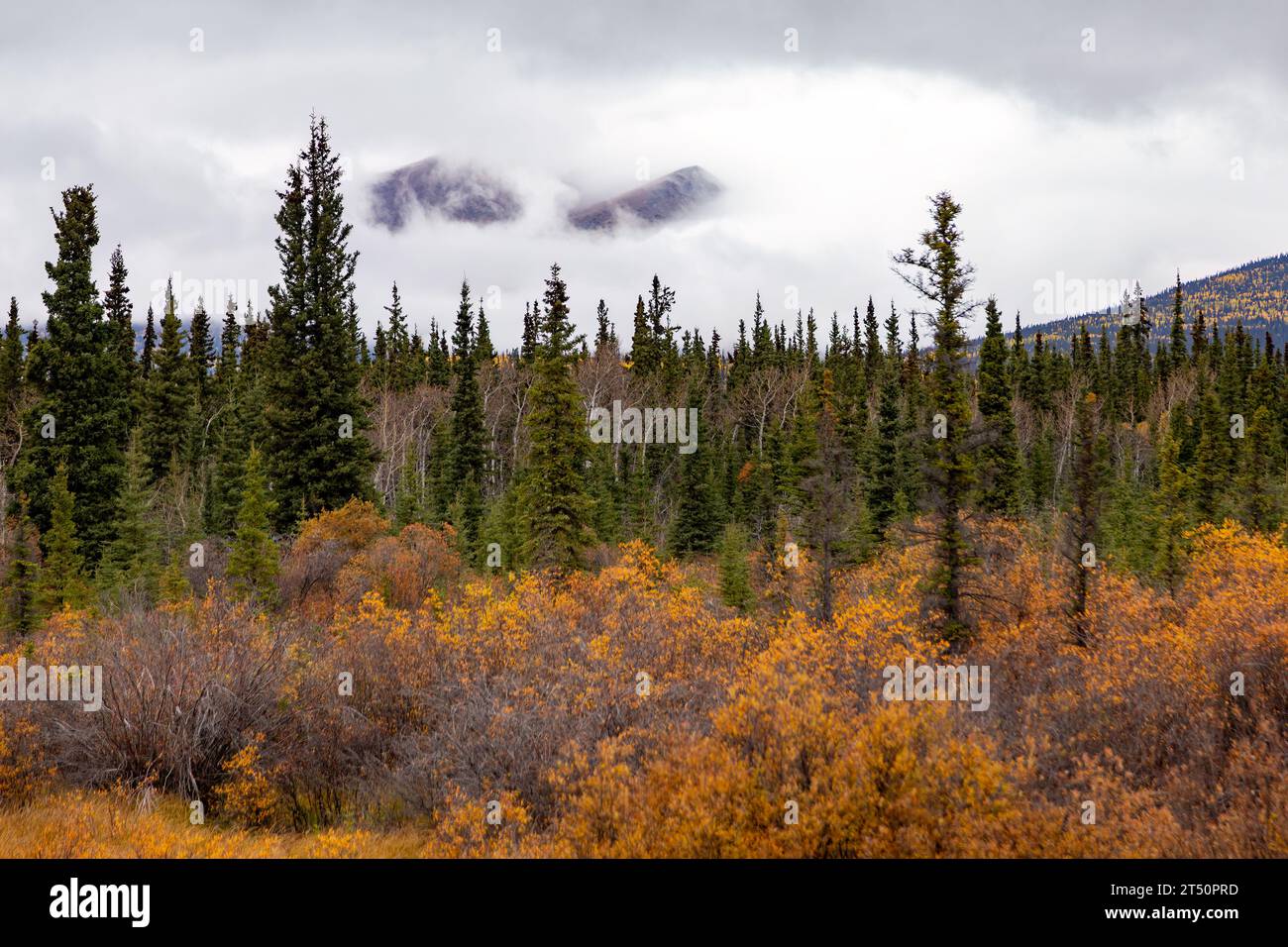 Scenic autumn views featuring meadows and mountains along the Alaska ...