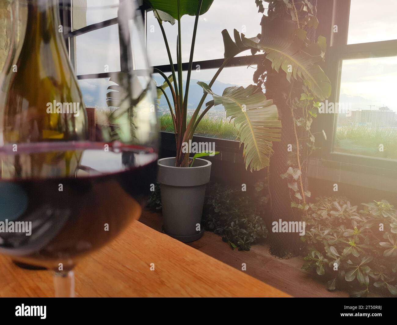 Restaurant interior background with green plant near window Stock Photo ...