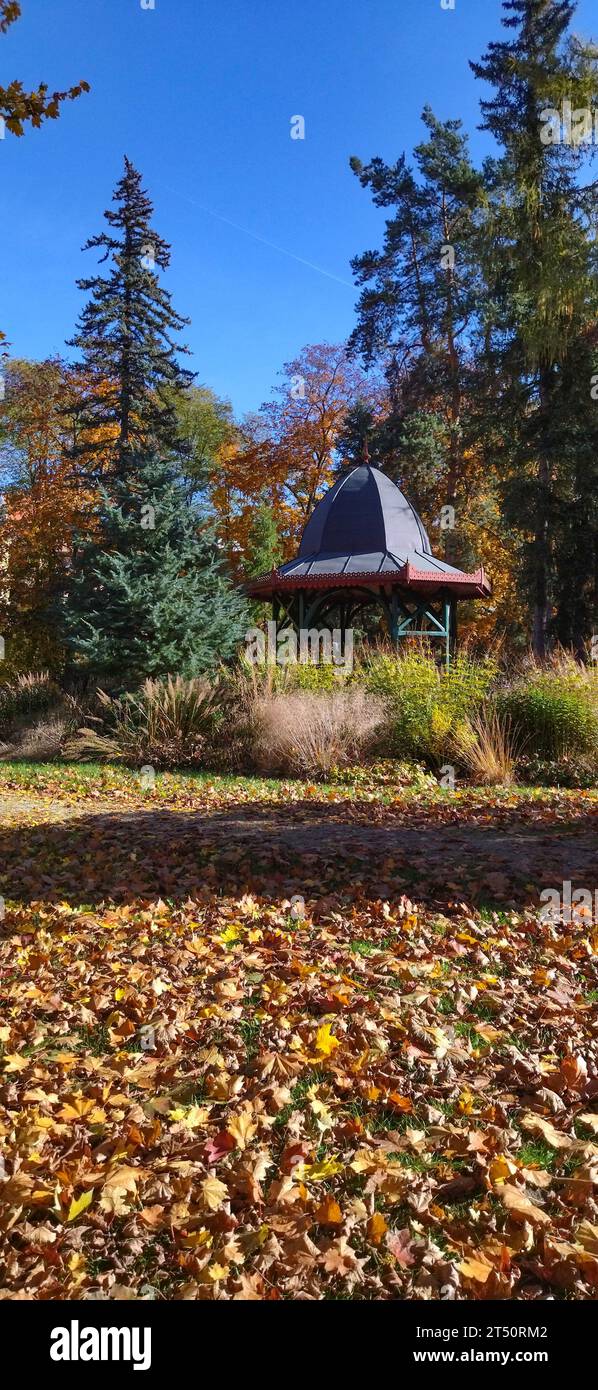 Free fall park hi-res stock photography and images - Alamy