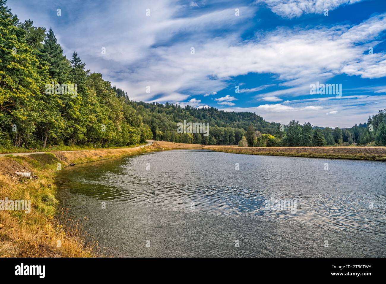 Lewis River between Swift Reservoir and Yale Lake, view from Forest ...