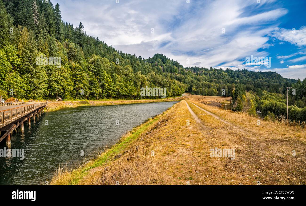 Lewis River between Swift Reservoir and Yale Lake, embankment at Forest ...