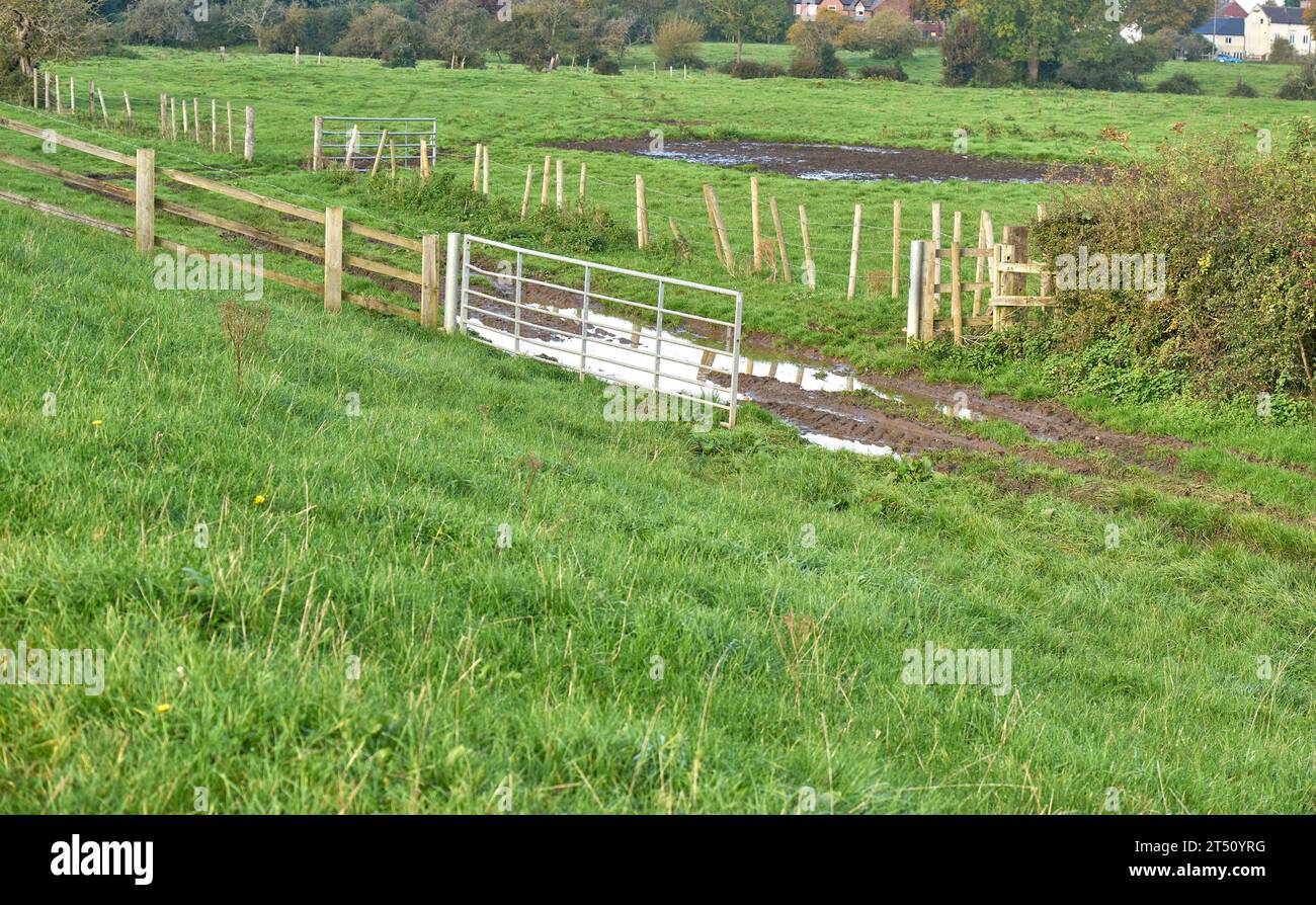 Typical water logged hi-res stock photography and images - Alamy